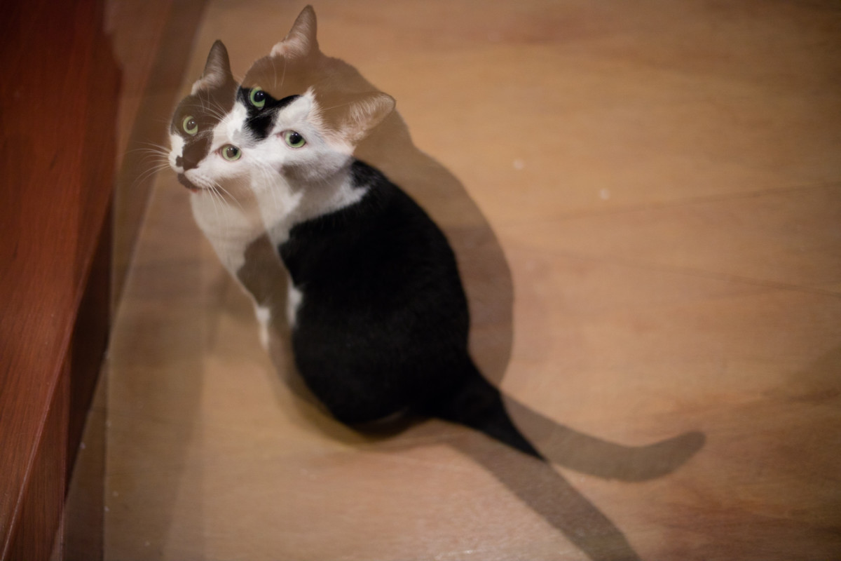 Sudden Onset Transient Double Vision: Get to ER » Scary Symptoms