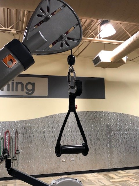 How to Do Biceps Curls with Golfer’s Elbow » Scary Symptoms