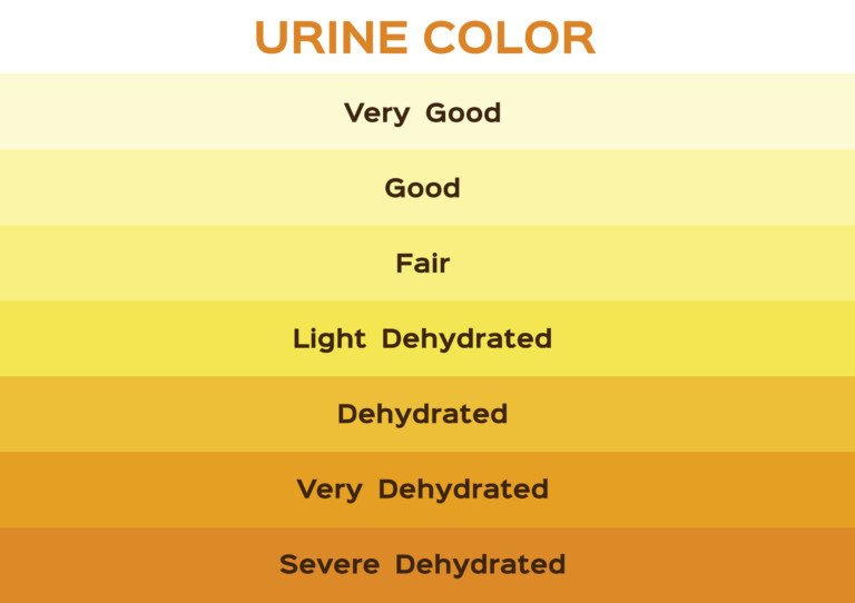 Orange Urine vs. Dark Yellow: Telling the Difference » Scary Symptoms