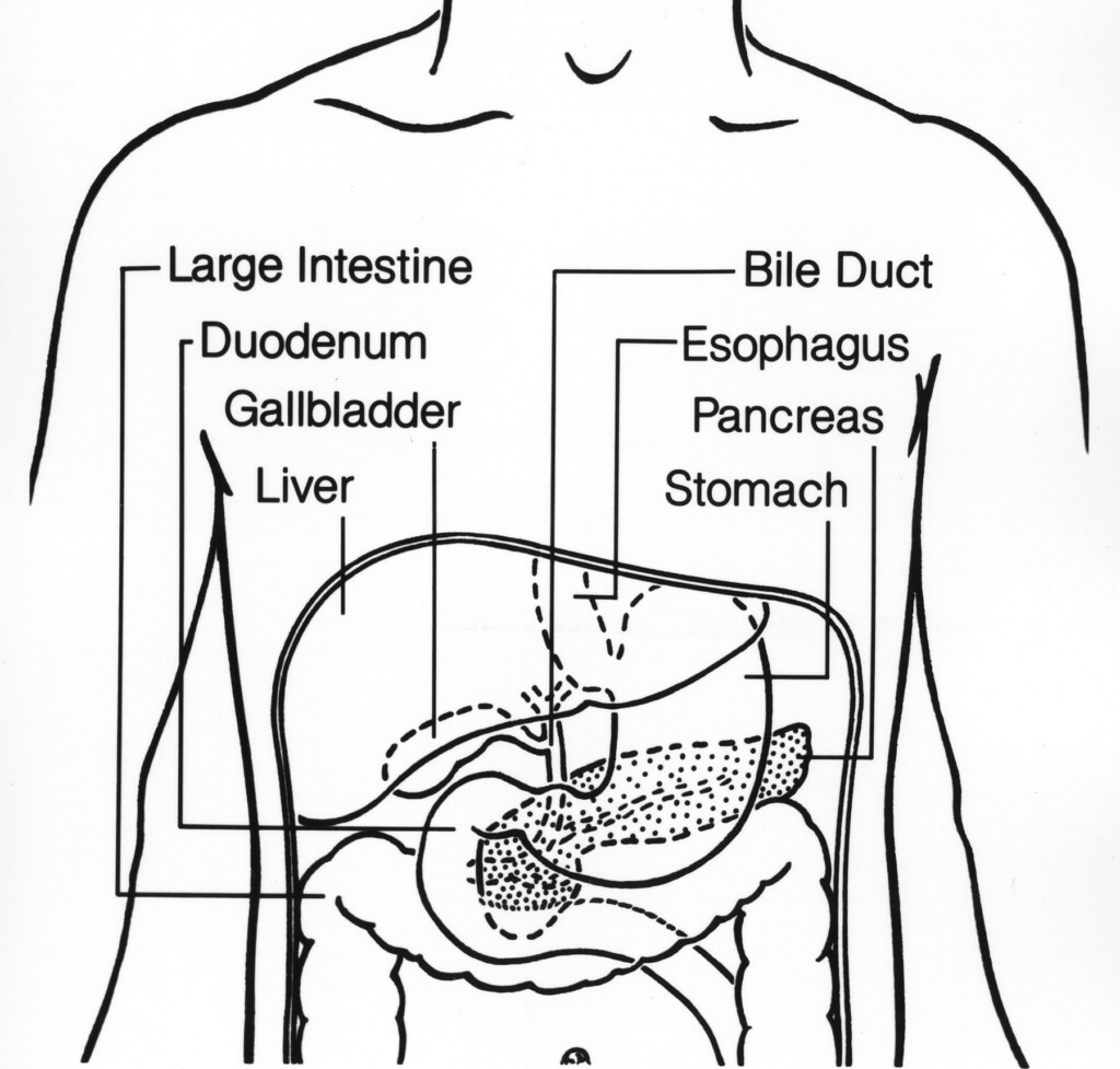 Duodenal Cancer Tips for Treatment, Chemotherapy » Scary Symptoms