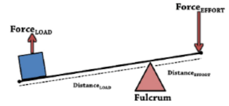 Long Femur, Short Shin: Advantage in Leg Extension, Ham Curl » Scary ...