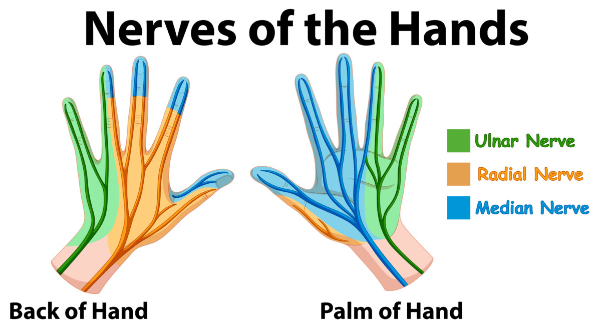 Numb, Tingling Hands and Arms in the Morning? » Scary Symptoms