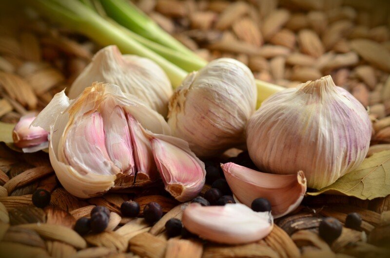 How Much Aged Garlic Extract a Day Is Too Much? » Scary Symptoms