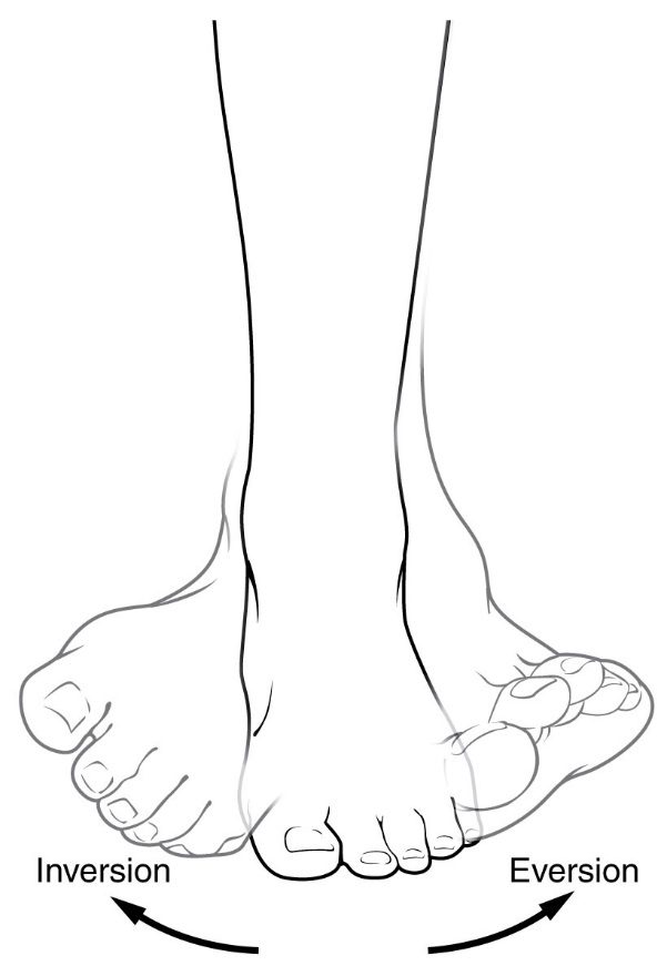 Ankle Sprain Prevention Tips for Runners and Walkers » Scary Symptoms